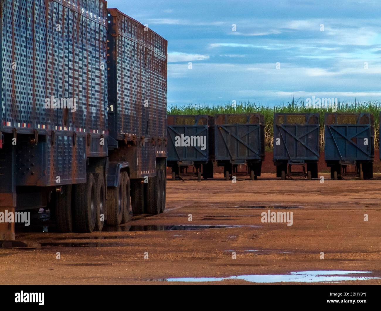 trailer wagons that transport sugar cane, parked in the yard of a sugar ...