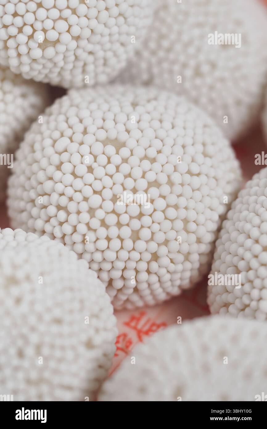 Indian platter for family hi-res stock photography and images - Alamy