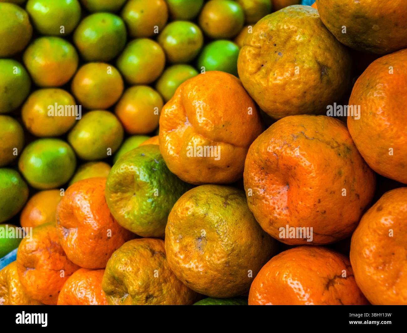 Orange and tangerine fruits on a street market stall in Brazil Stock ...