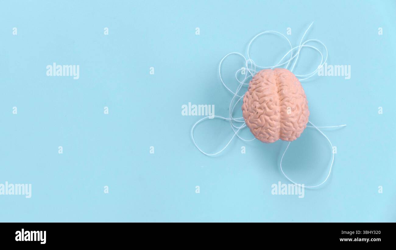 Human Brain Model on Tangled White Thread for Complex Thought ...