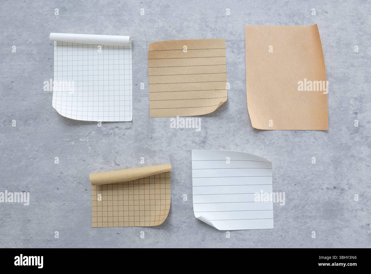 Variety of Paper Types: Lined, Grid, and Plain Sheets on a Gray Surface ...