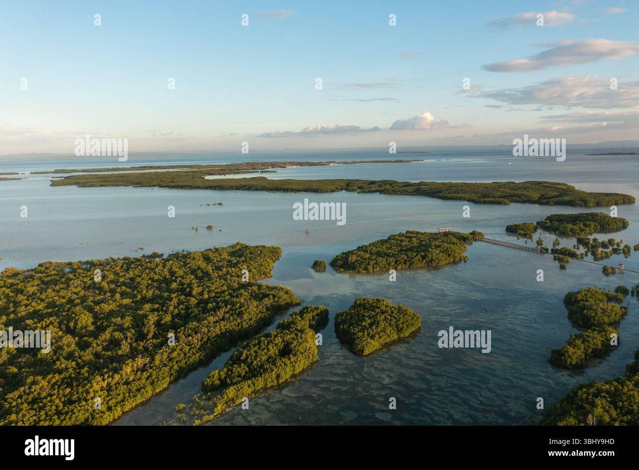 Mangrove forest and narrow waters at coasline in Olango Island, Lapu ...