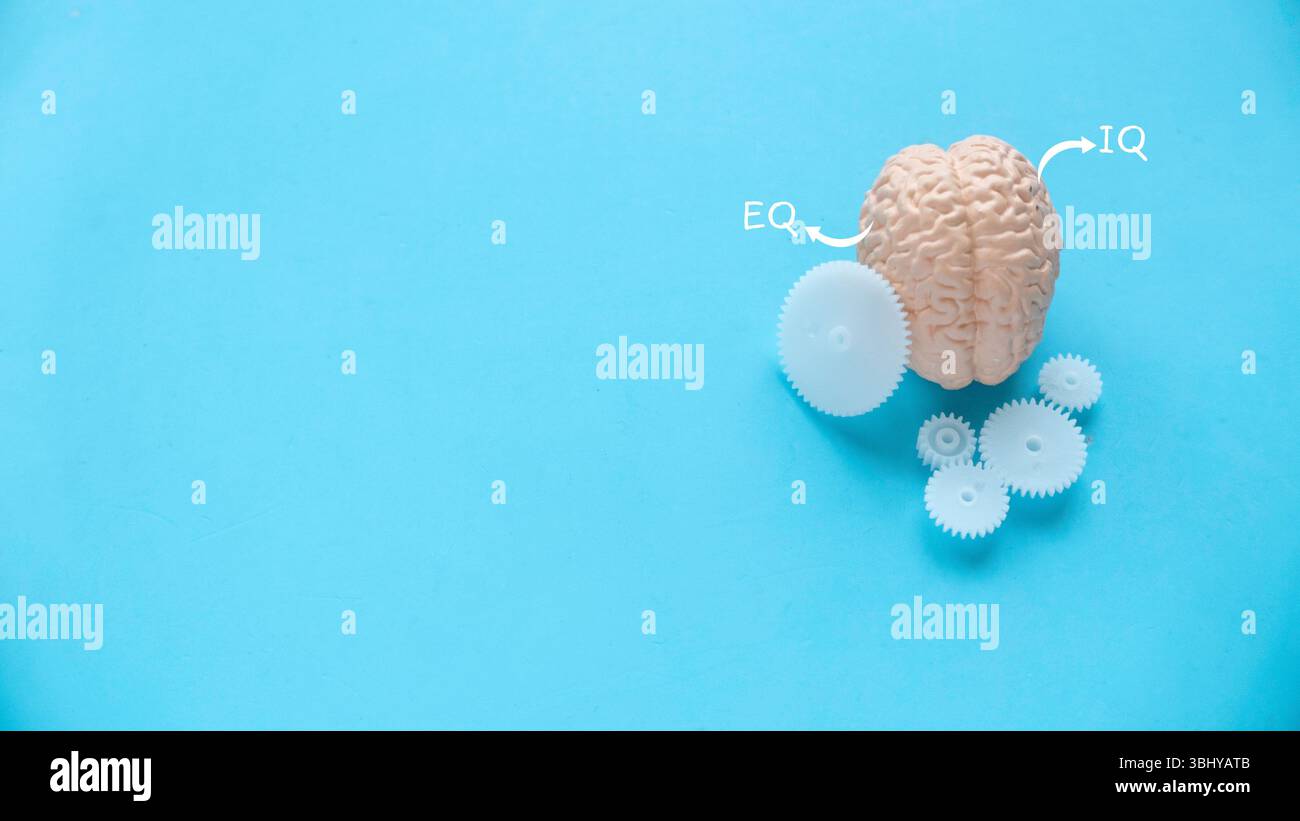 Brain with EQ and IQ Labels and Gears on Blue Background Stock Photo ...