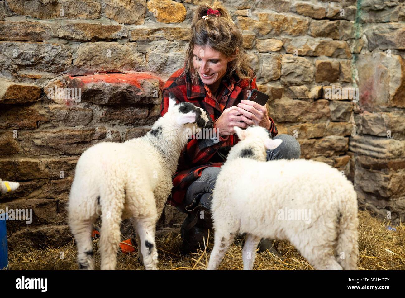 EDITORIAL USE ONLY Shepherdess Amanda Owen uses a device from the ...