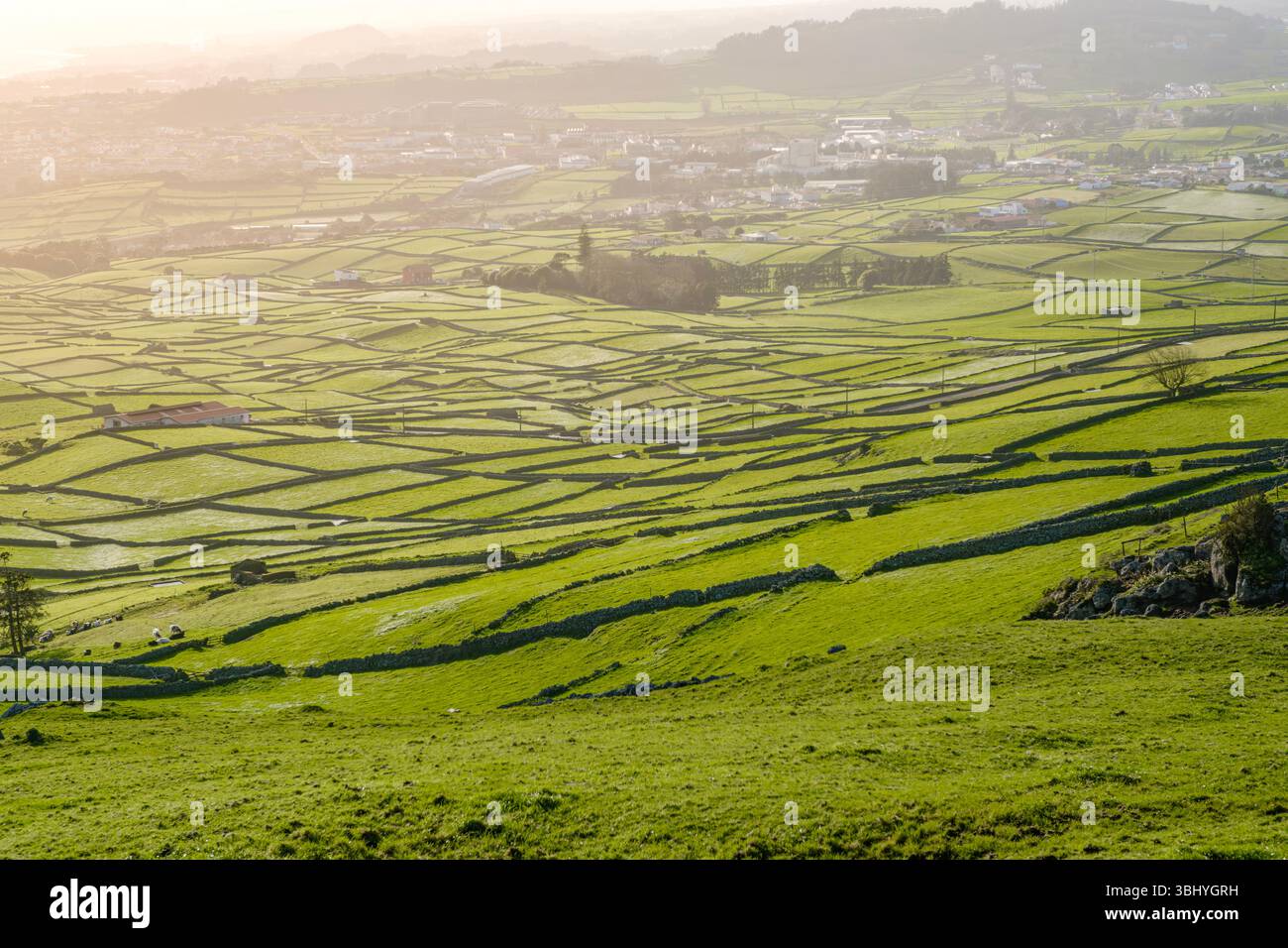 Expansive Landscape of Patchwork Green Fields and Stone Walls on ...