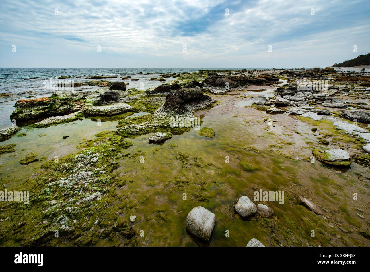 Geology of gotland hi-res stock photography and images - Alamy