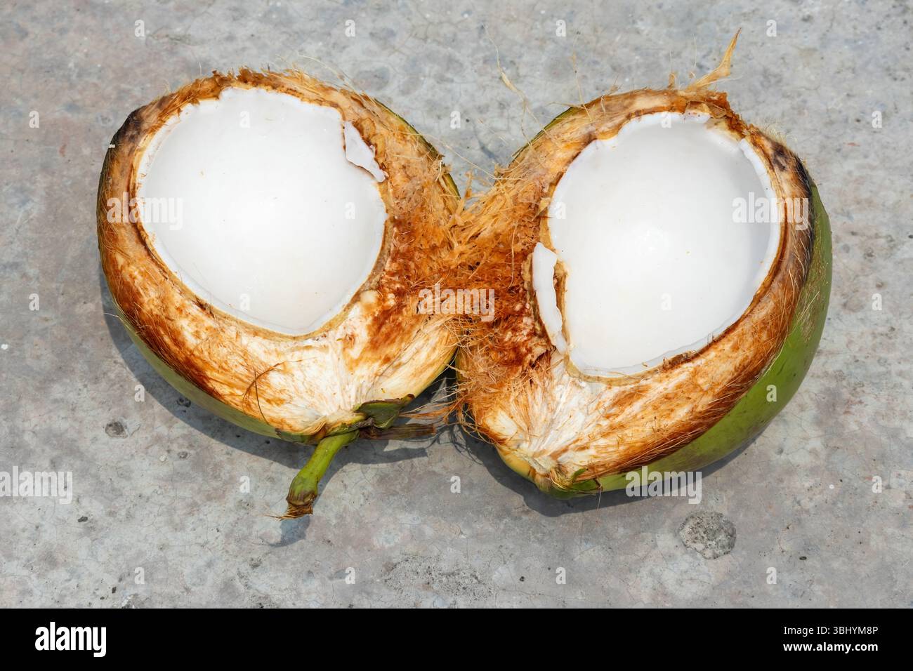 Fresh young coconut halved, revealing succulent white flesh. Delicious ...
