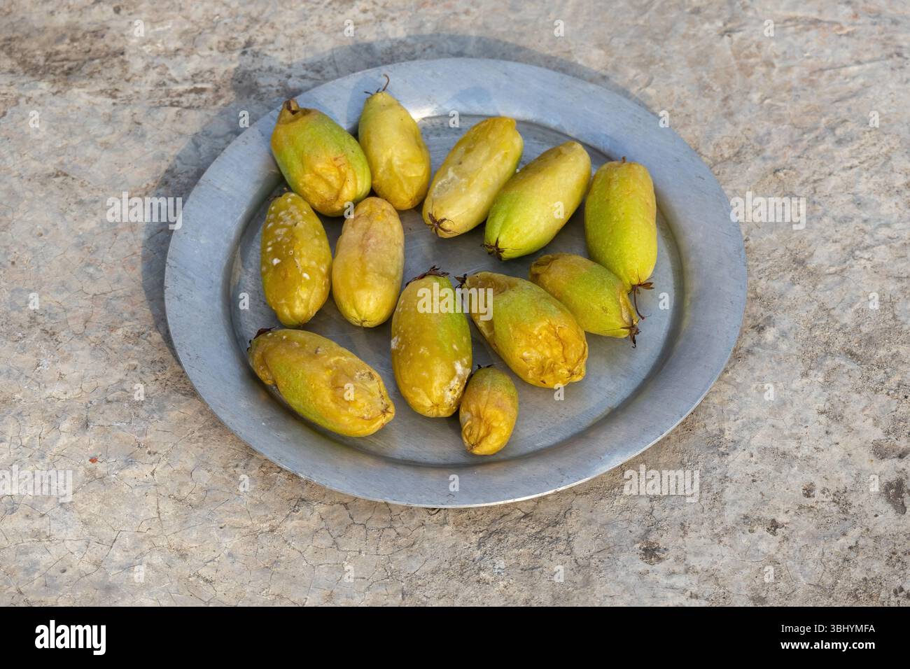 Overripe Bilimbi (Averrhoa bilimbi), also known as Cucumber Tree or ...