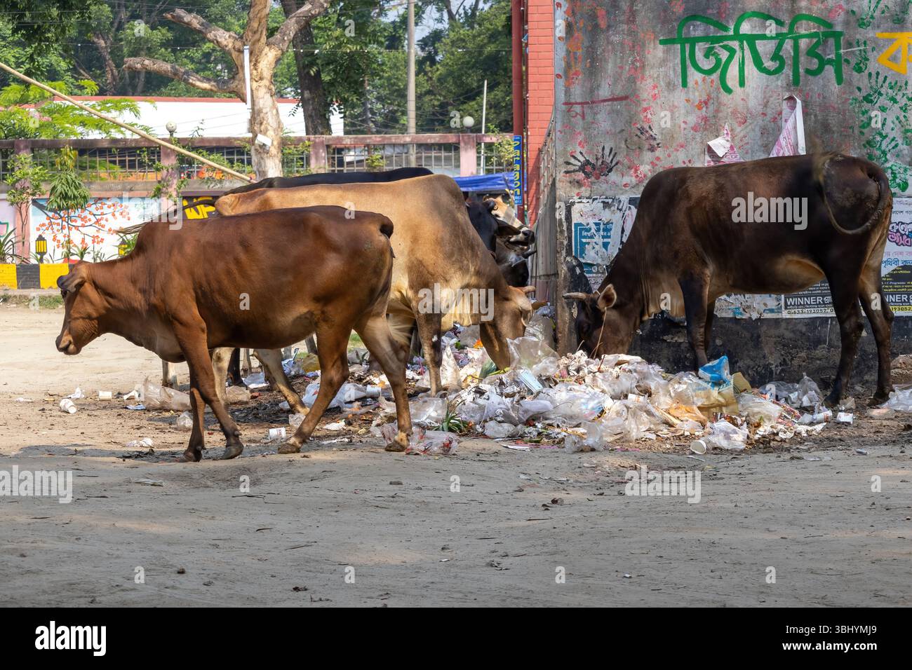 Environment pollution in bangladesh hi-res stock photography and images ...