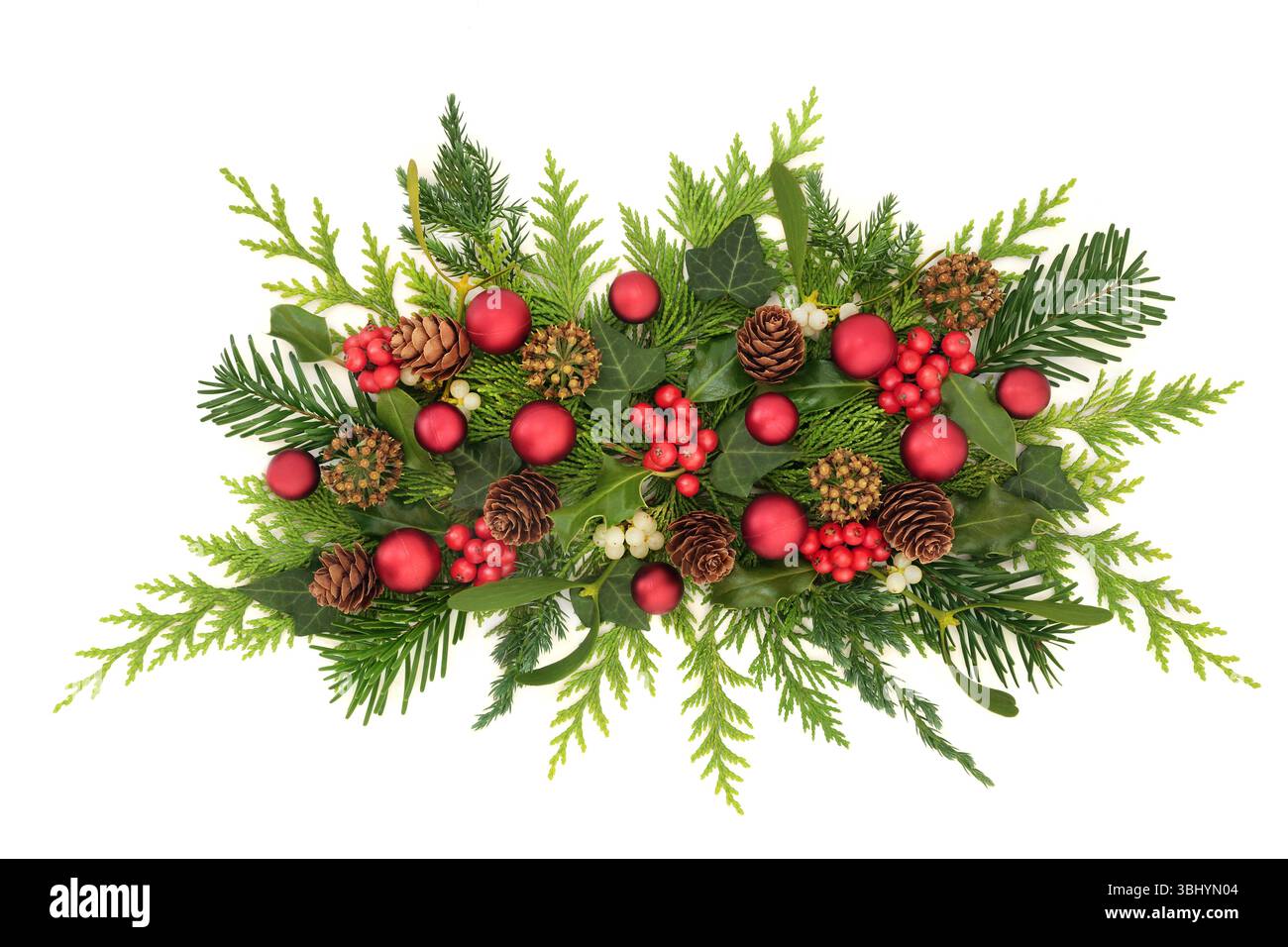 Winter boughs Cut Out Stock Images & Pictures - Alamy