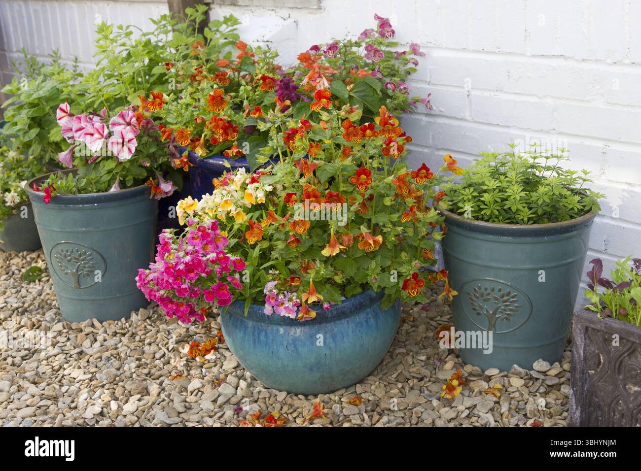 Small courtyard garden pots hi-res stock photography and images - Alamy