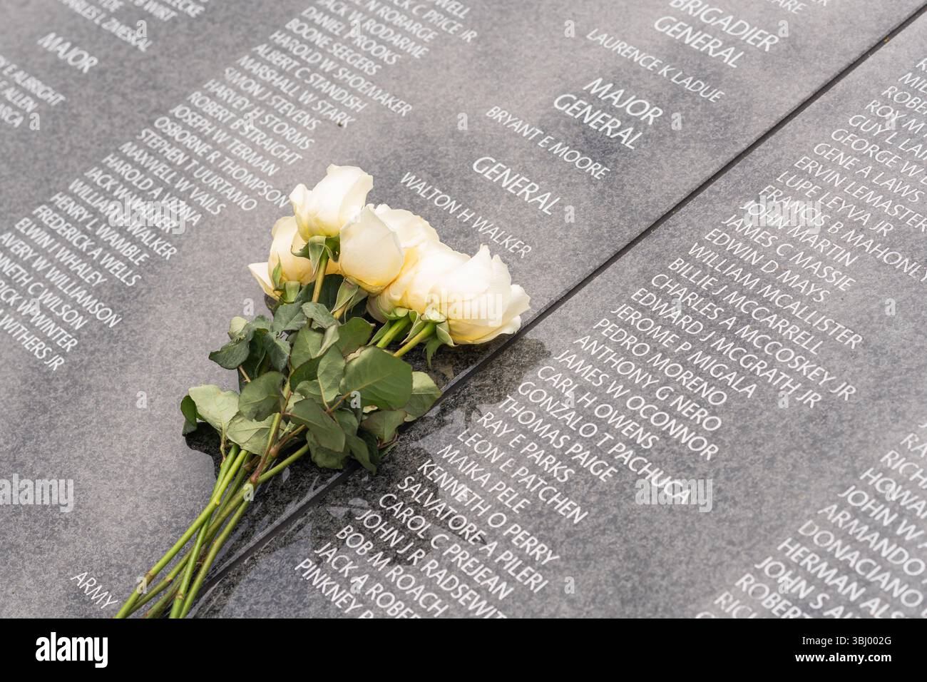 Washington D.C., USA, May 26, 2025. Fresh white roses placed in ...