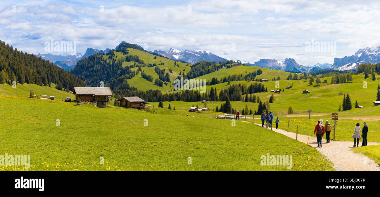 Hikers on a winding path through lush green meadows dotted with ...