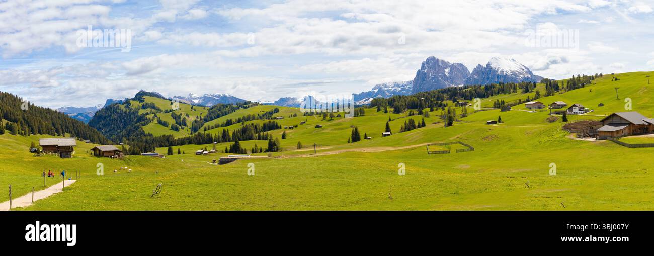 Panoramic view of the Alpe di Siusi alpine plateau in the Dolomites ...