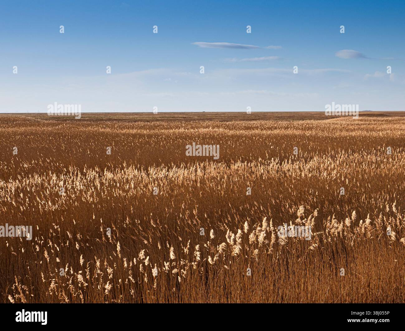 Neston hi-res stock photography and images - Alamy