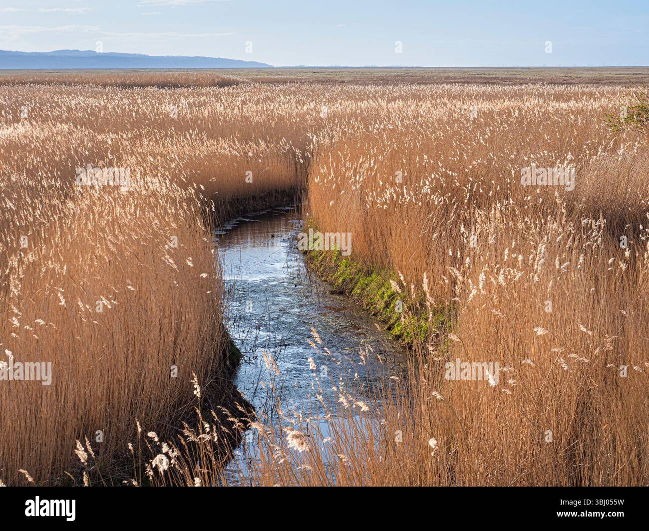 Neston hi-res stock photography and images - Alamy