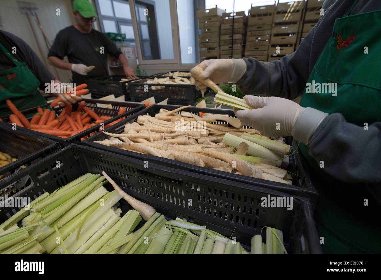 Logistics in crop production and plant cultivation, transport of ...