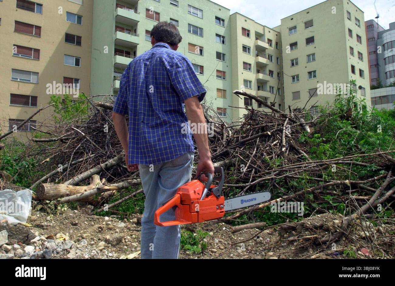 chainsaw for tree cut or tree pruning as part of tree care chainsaw for ...