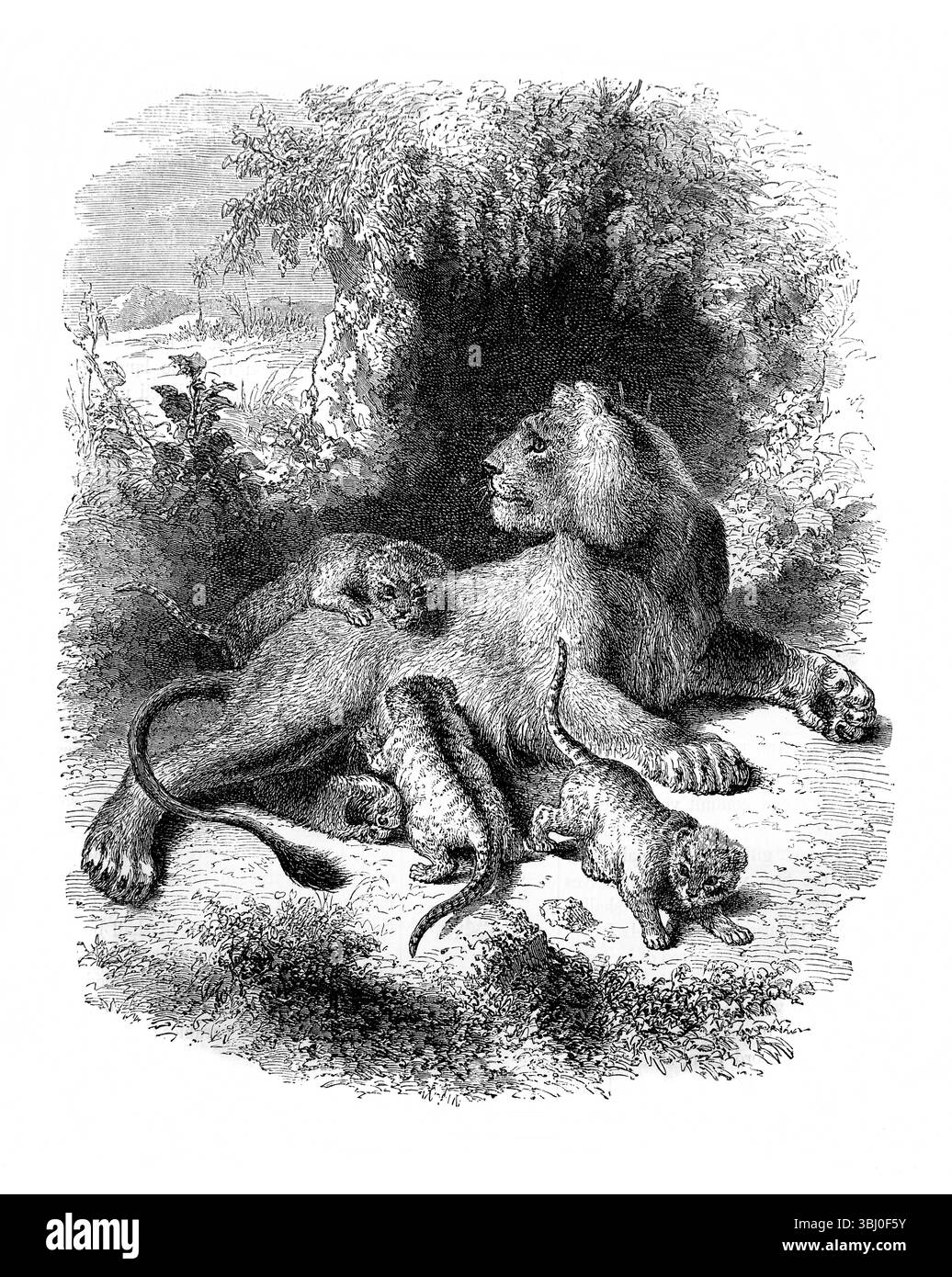 A Lament over the Princes of Israel depicted as a Lioness and cubs ...