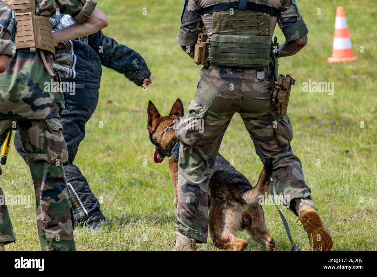 Dog handler team hi-res stock photography and images - Alamy