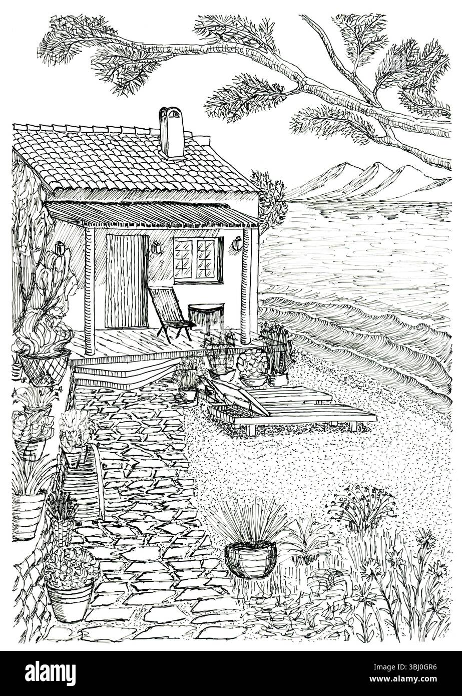 Garden patio plants Cut Out Stock Images & Pictures - Alamy