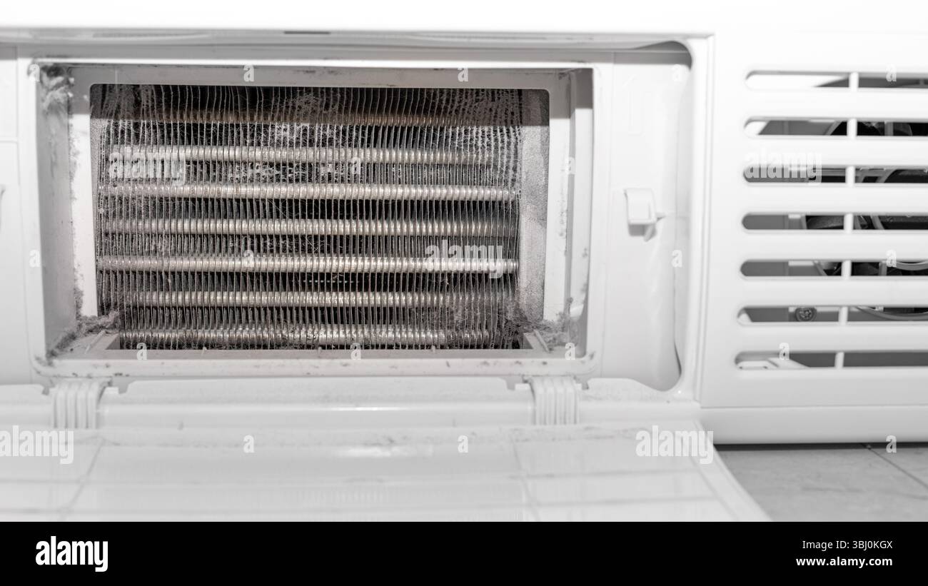 lint-covered condenser coil inside a clothes dryer, showing heavy dust ...