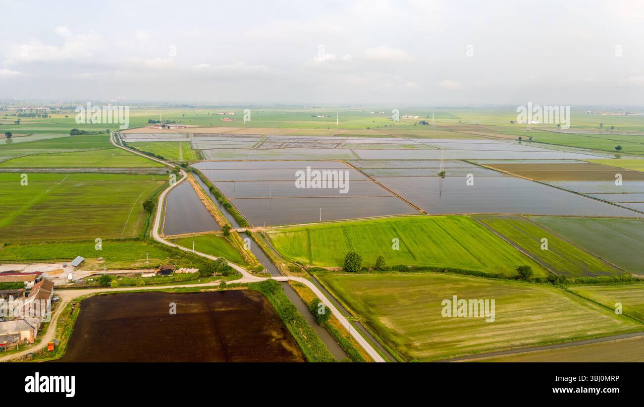 Aerial view italian rice fields hi-res stock photography and images - Alamy