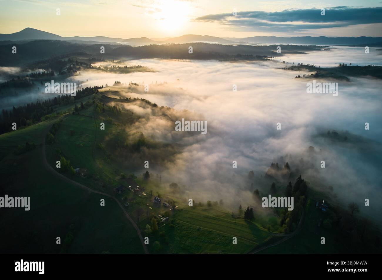 Sunlight over hills dense woodland hi-res stock photography and images ...