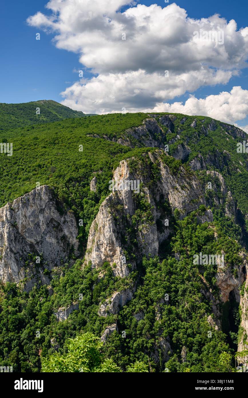 Scenic landscape of of Lazar Canyon (Lazarev kanjon), the deepest and ...