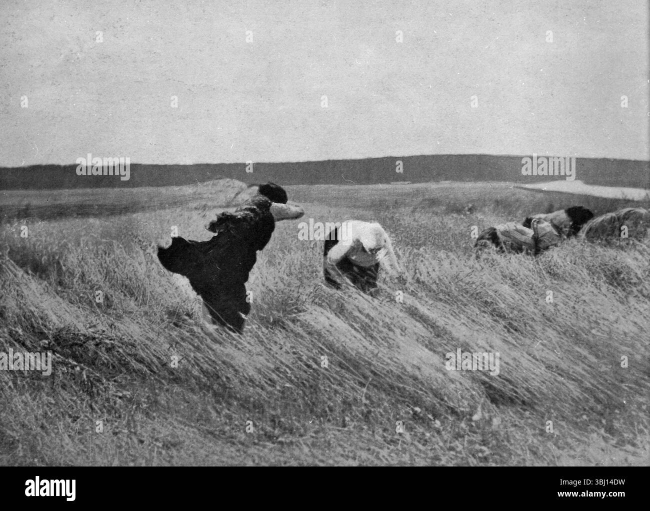 Scene from Russian silent movie The General Line , Russia 1929 Stock ...