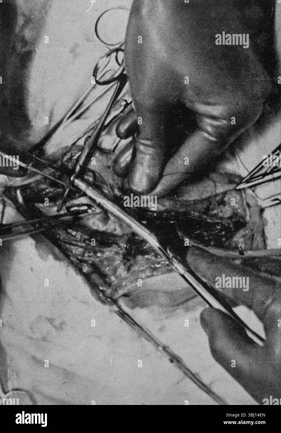 Hands during Black and White Stock Photos & Images - Alamy