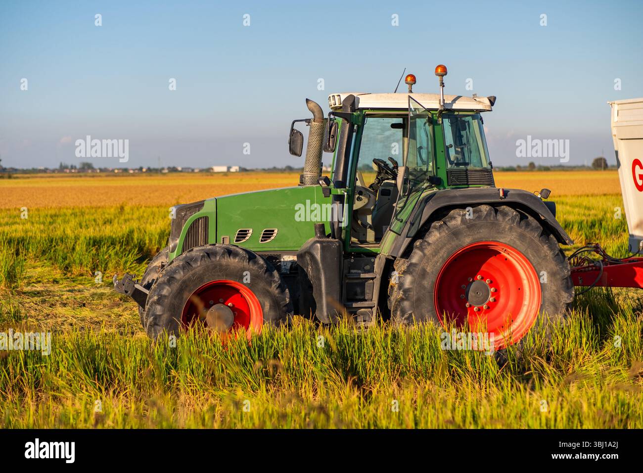 Green tractor in rice field during harvest in Italy. Typical rural ...