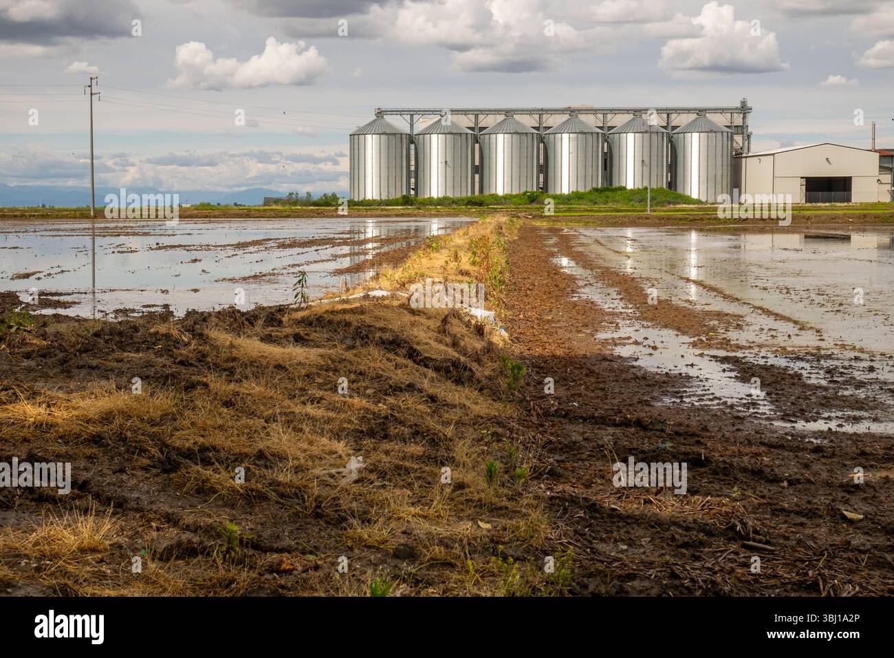 Grain silos reflecting in flooded rice fields after irrigation season ...