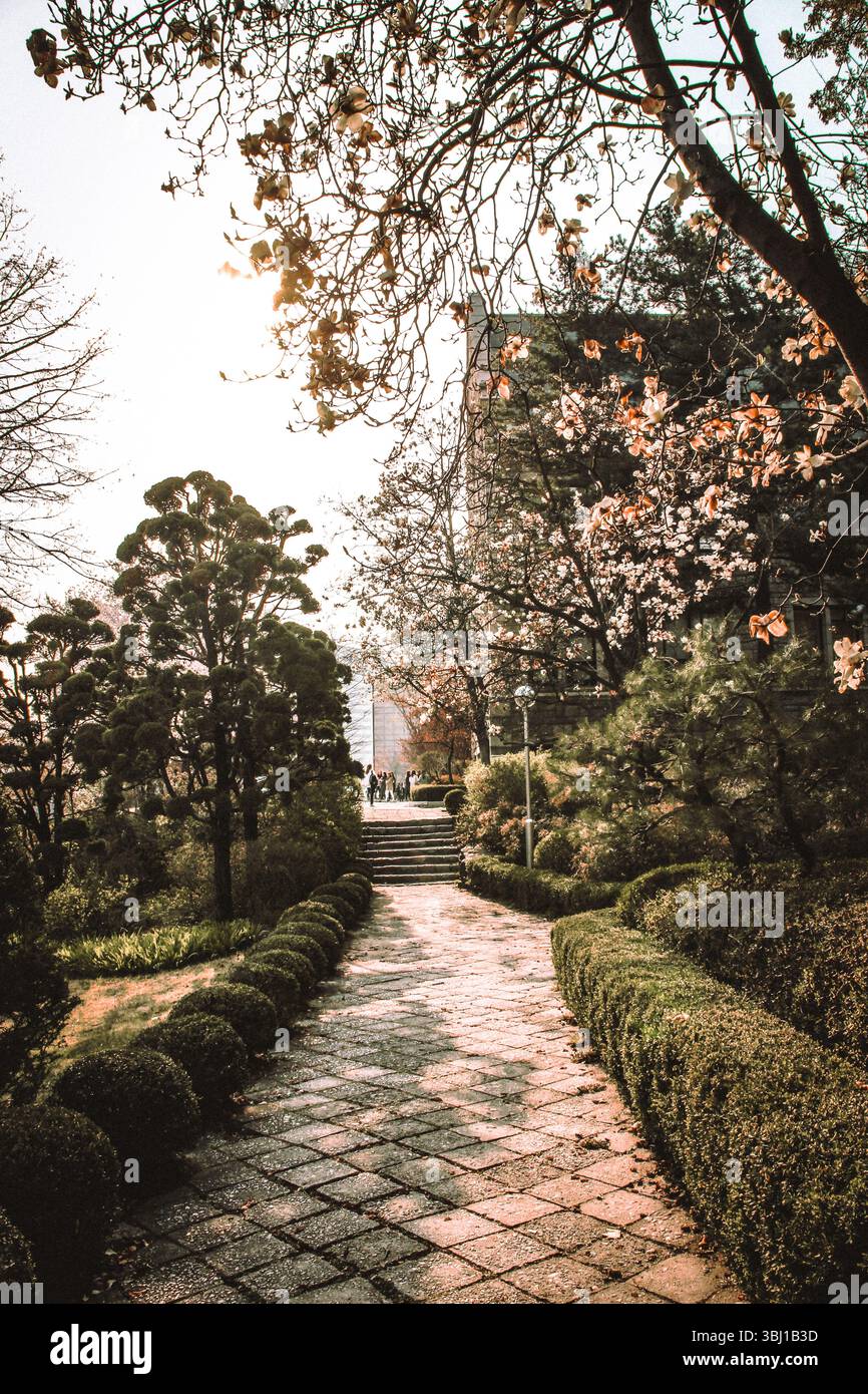 Springtime at Ewha Womans University in Seoul, South Korea, with students walking through ...