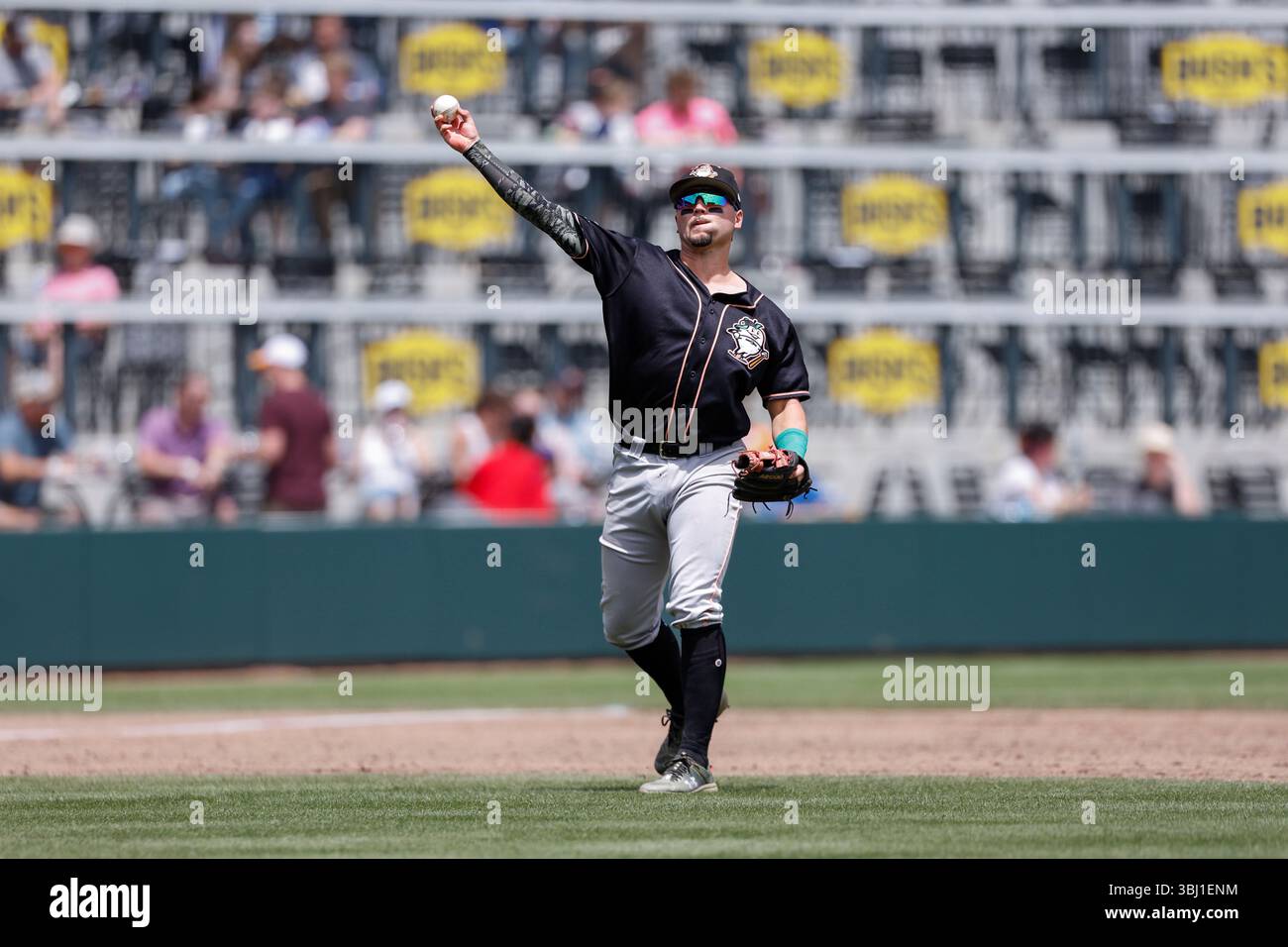 Columbus Clingstones shortstop Cal Conley (13) on defense against the ...