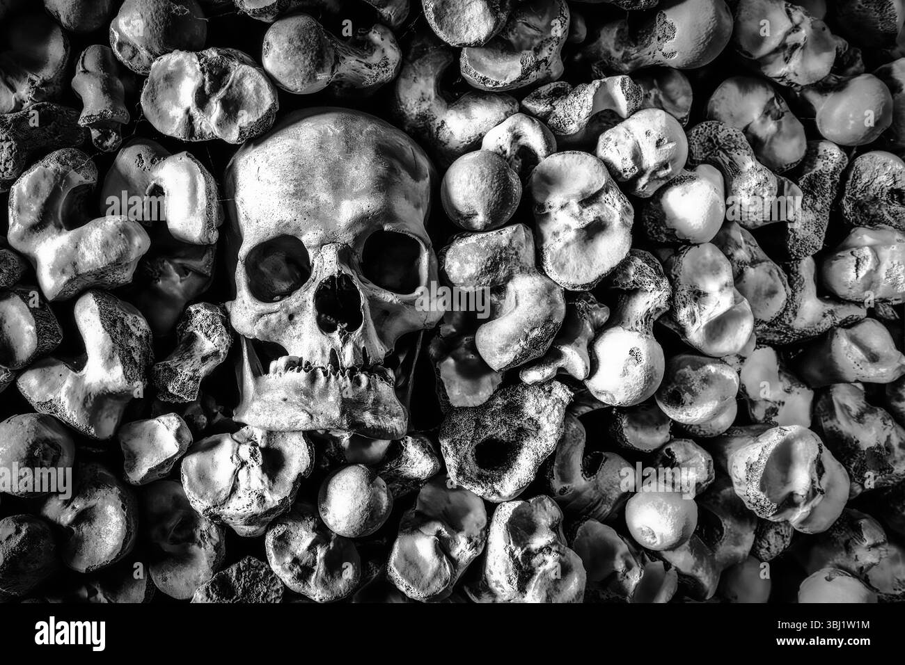 A mysterious skull lies among a heap of human bones in the crypt of St ...