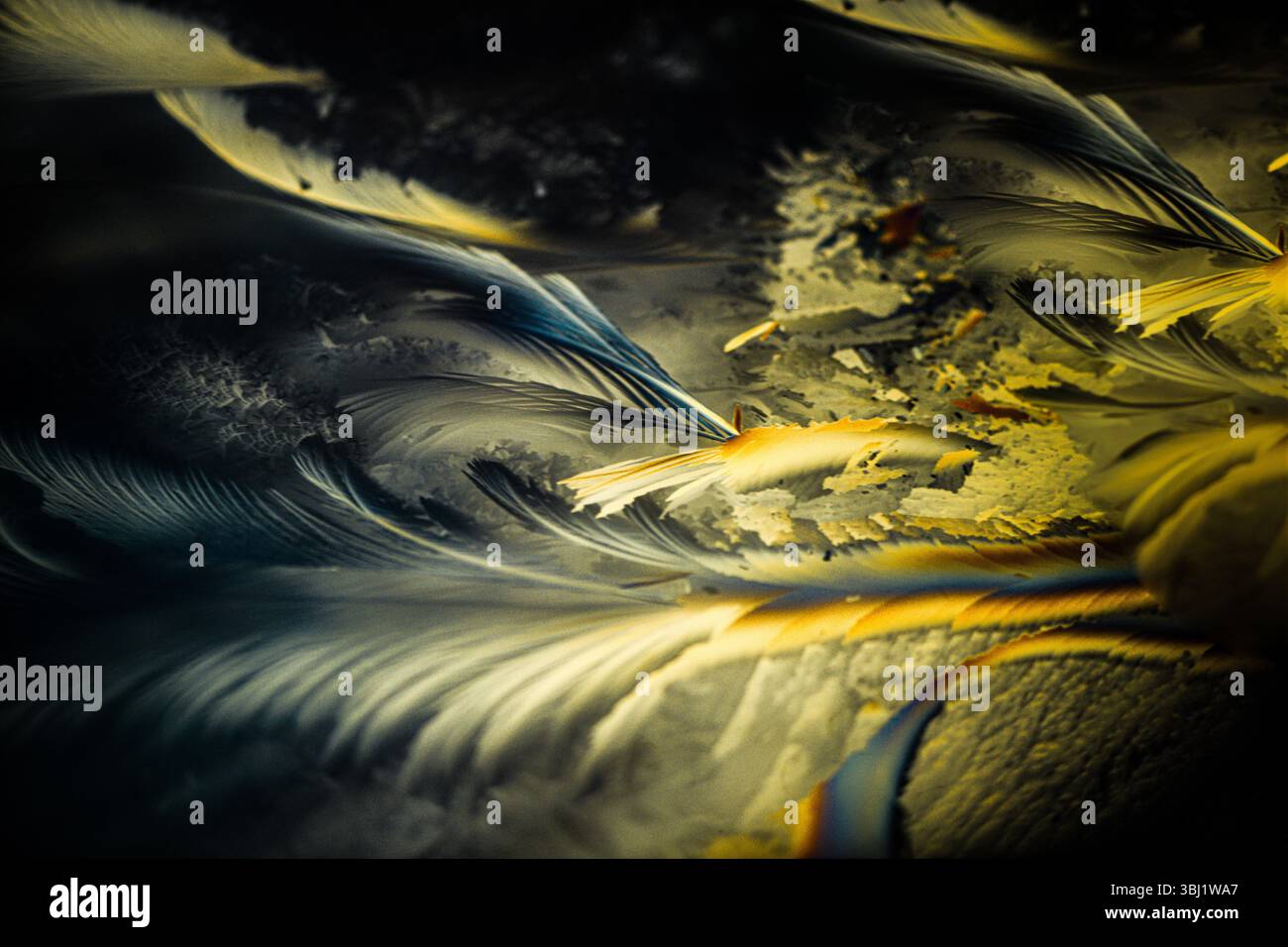 Mineral structure under microscope hi-res stock photography and images ...