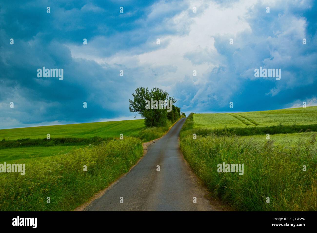 Road through the English countryside in summer Stock Photo - Alamy