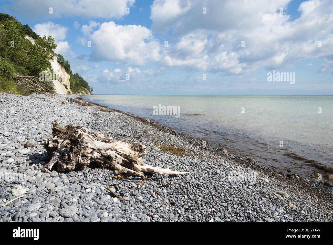The chalk cliffs of Moen in Denmark Stock Photo - Alamy
