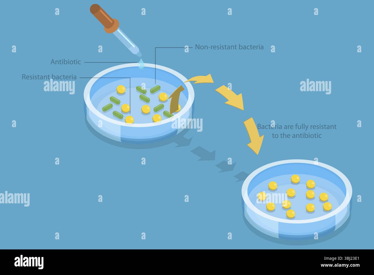 3D Isometric Flat Illustration of Antimicrobial Resistance, Microbes ...