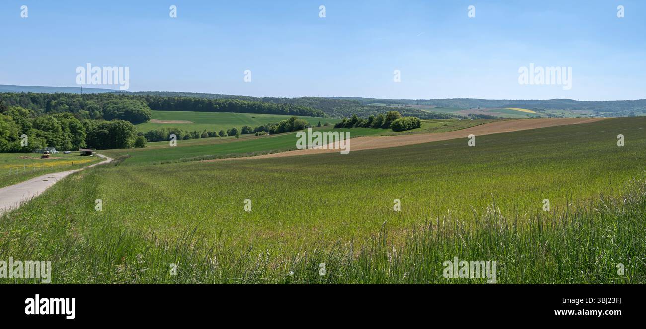 Wide panorama of German countryside with green fields, forests, and ...