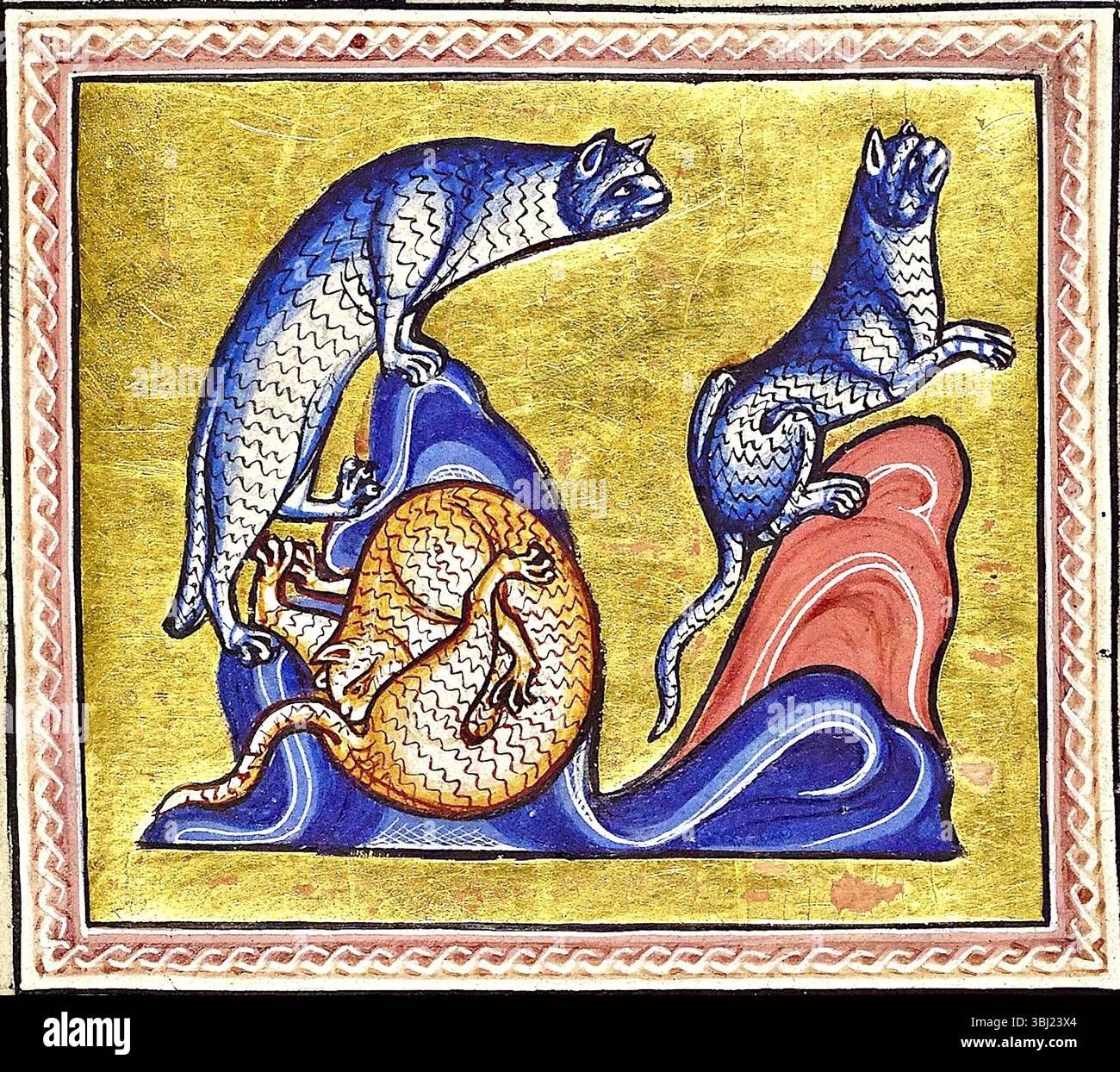 The beauty of medieval bestiaries hi-res stock photography and images ...