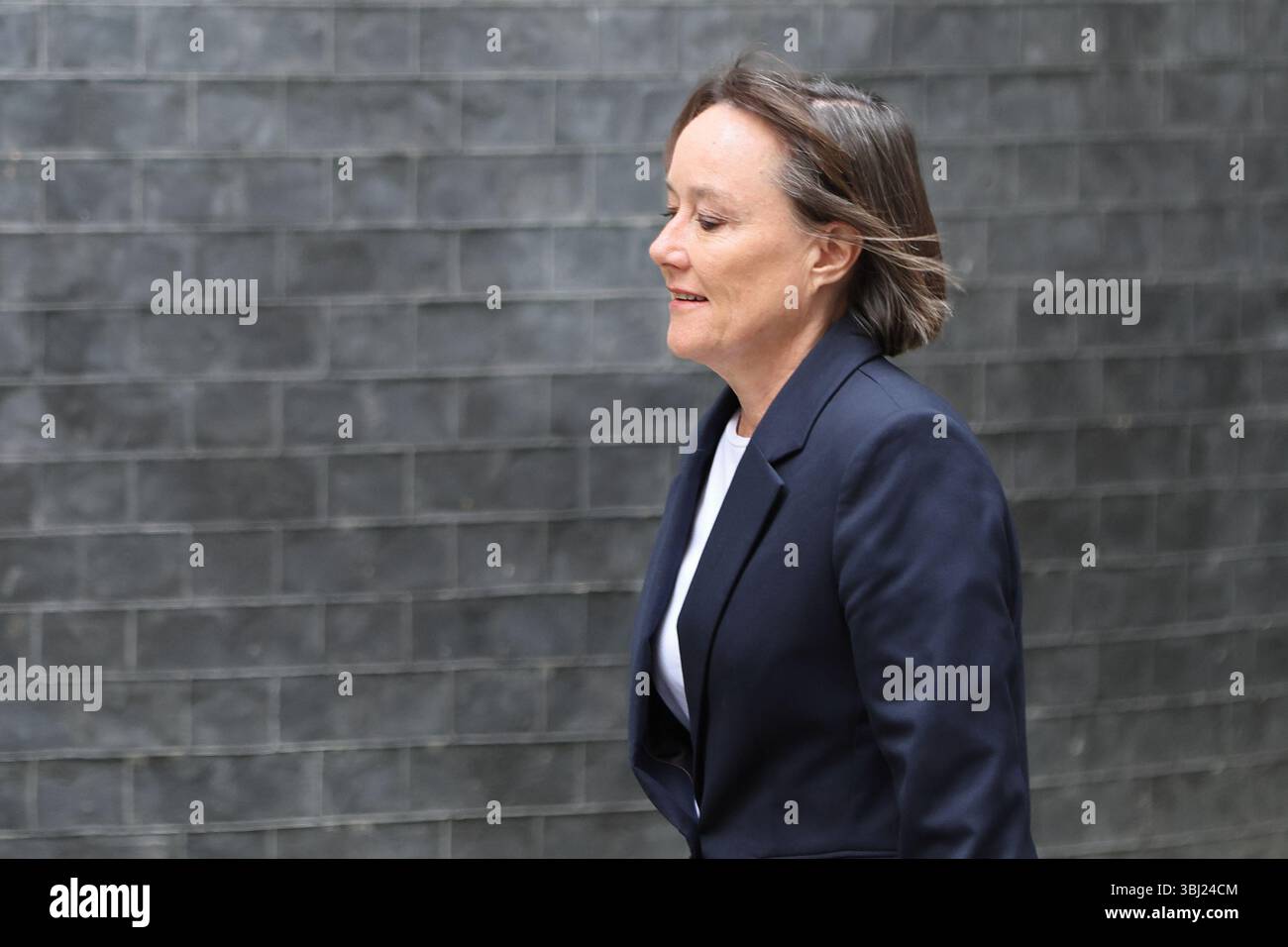 London, United Kingdom. 11 June, 2025. Jo Stevens MP, Secretary of ...