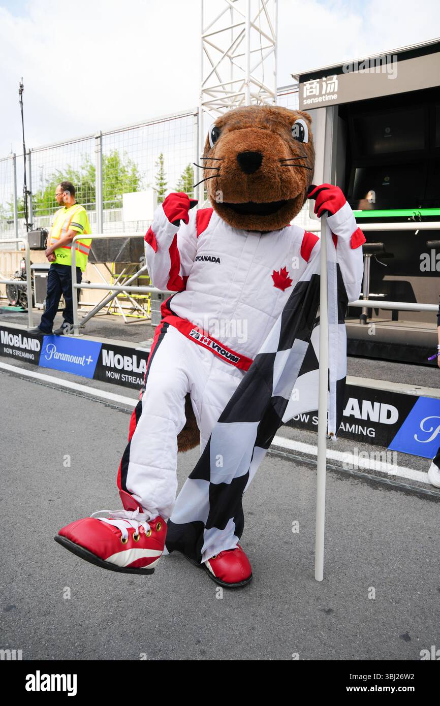 Montreal, Quebec, Canada – June 12, 2025: A groundhog mascot dressed in ...