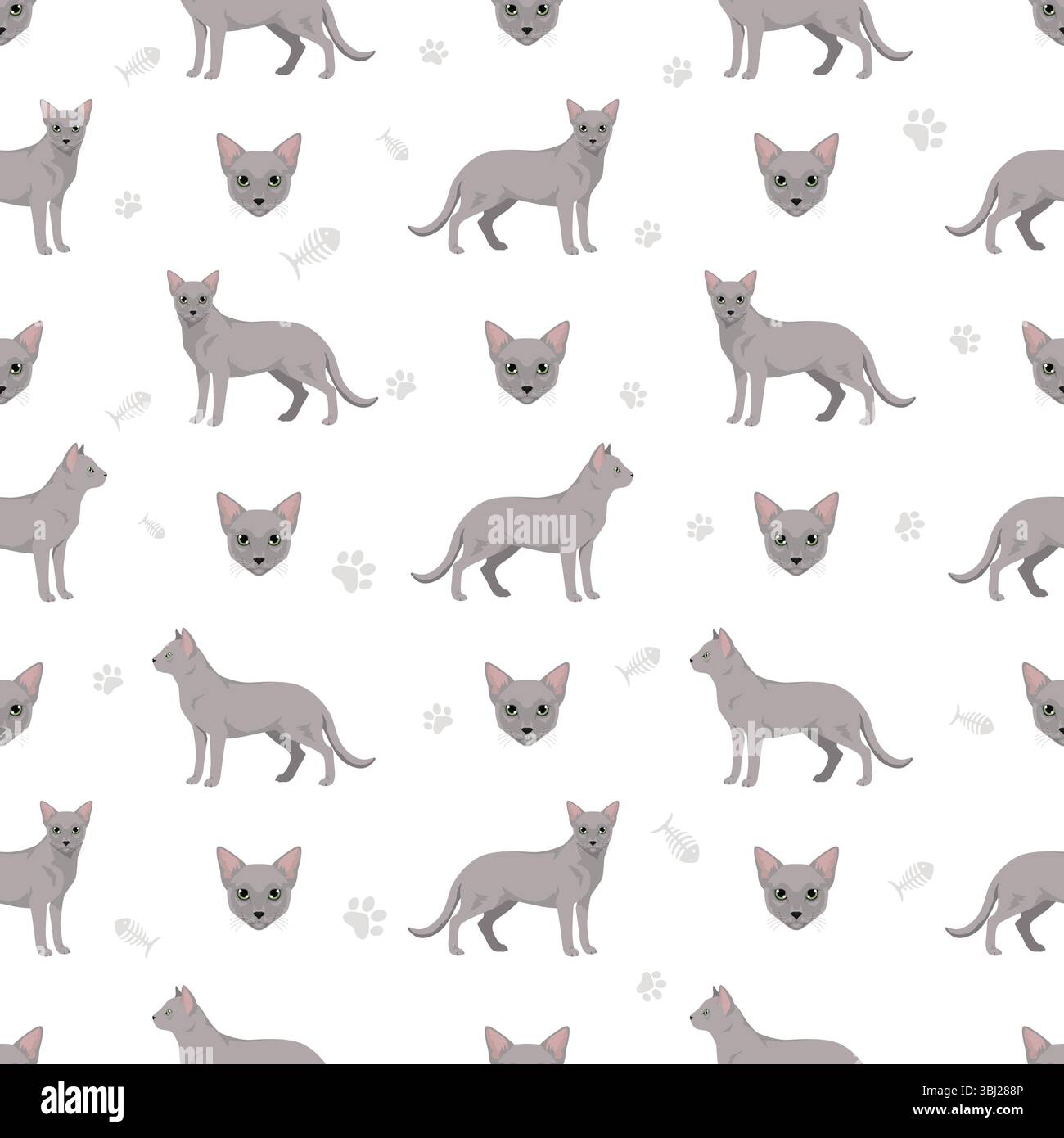 Russian Blue Cat clipart. All coat colors set. All cat breeds ...