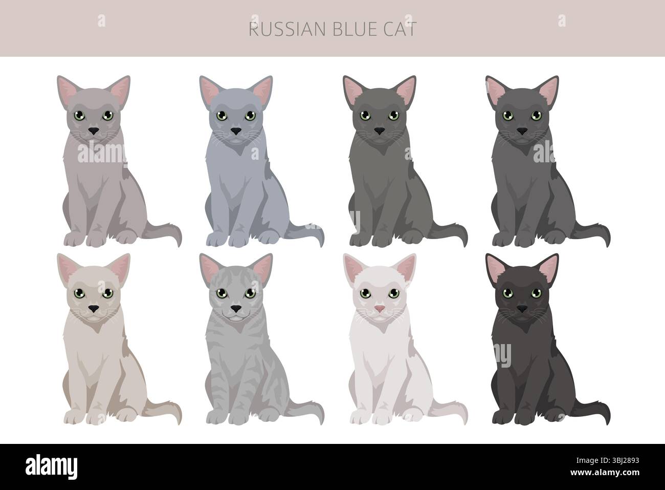 Russian Blue Cat clipart. All coat colors set. All cat breeds ...