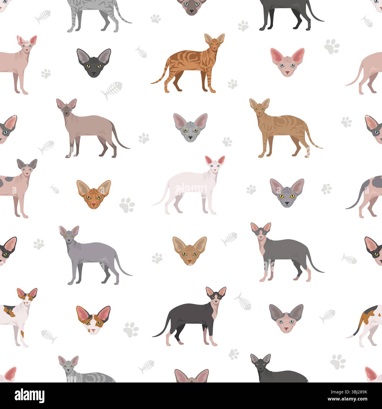 Canadian Sphynx Cat clipart. All coat colors set. All cat breeds ...