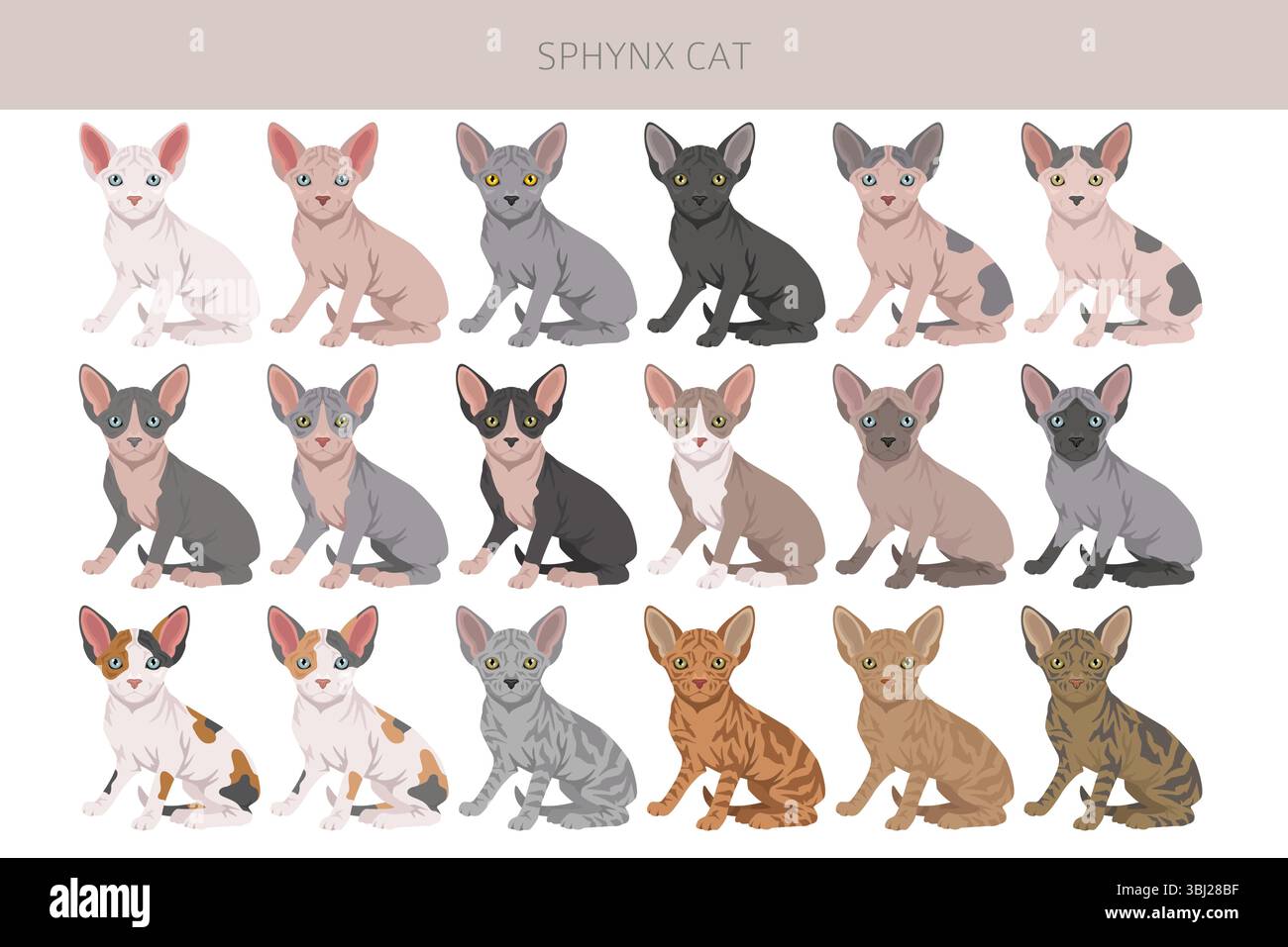 Canadian Sphynx Cat clipart. All coat colors set. All cat breeds ...