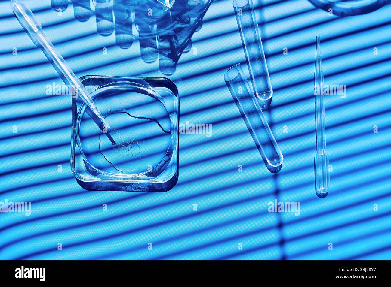 Sample being pipetted into petri dish and test tube for analysis in ...