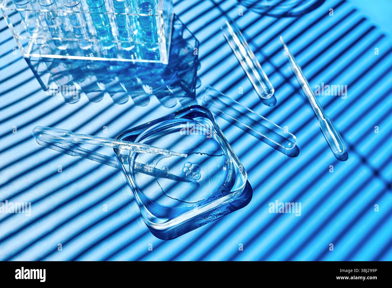 Sample being pipetted into petri dish and test tube for analysis in ...